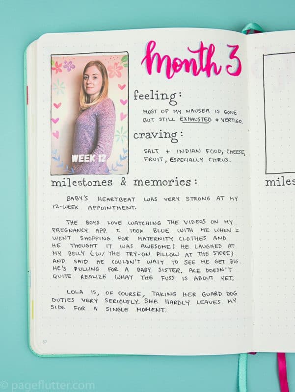 4 Pregnancy Bullet Journal Trackers to Prepare for Baby | Page Flutter